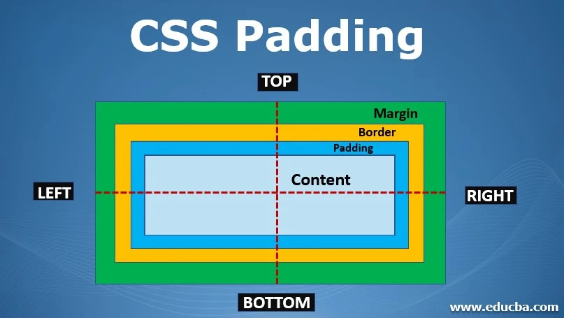 CSS padding-left プロパティ詳解: 要素の内部余白を自在に操る - ITチュートリアル